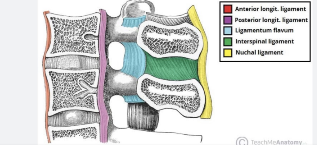 Got Pain? - Chiropractor in Atlanta